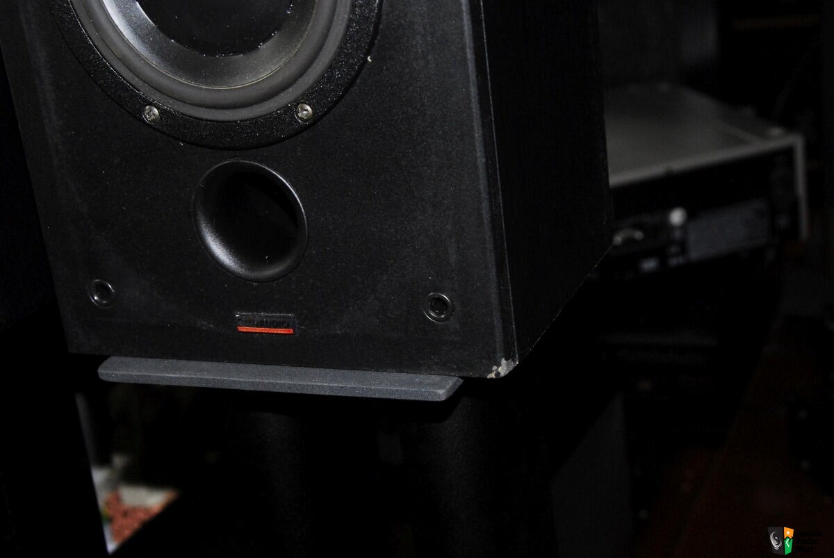 Dynaudio Audience 42 W bookshelf speakers Photo #1524373 - US Audio Mart