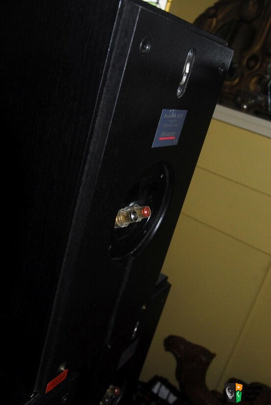 Dynaudio Audience 42 W bookshelf speakers Photo #1524372 - US Audio Mart