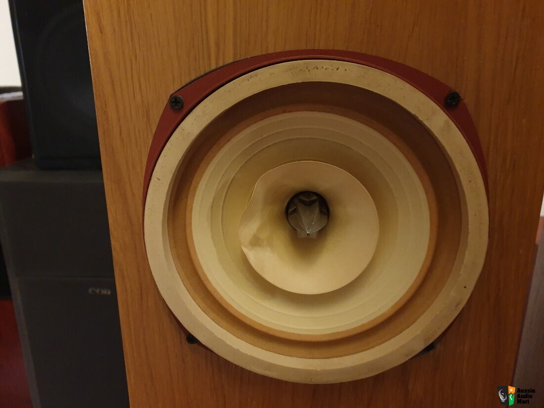 Coral beta8 - legendary speakers in quality cabinets Photo #2294634 ...