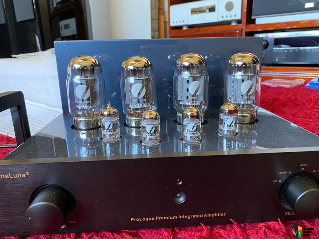 Primaluna ProLogue Premium Integrated amplifier Photo #5004732 - Aussie ...