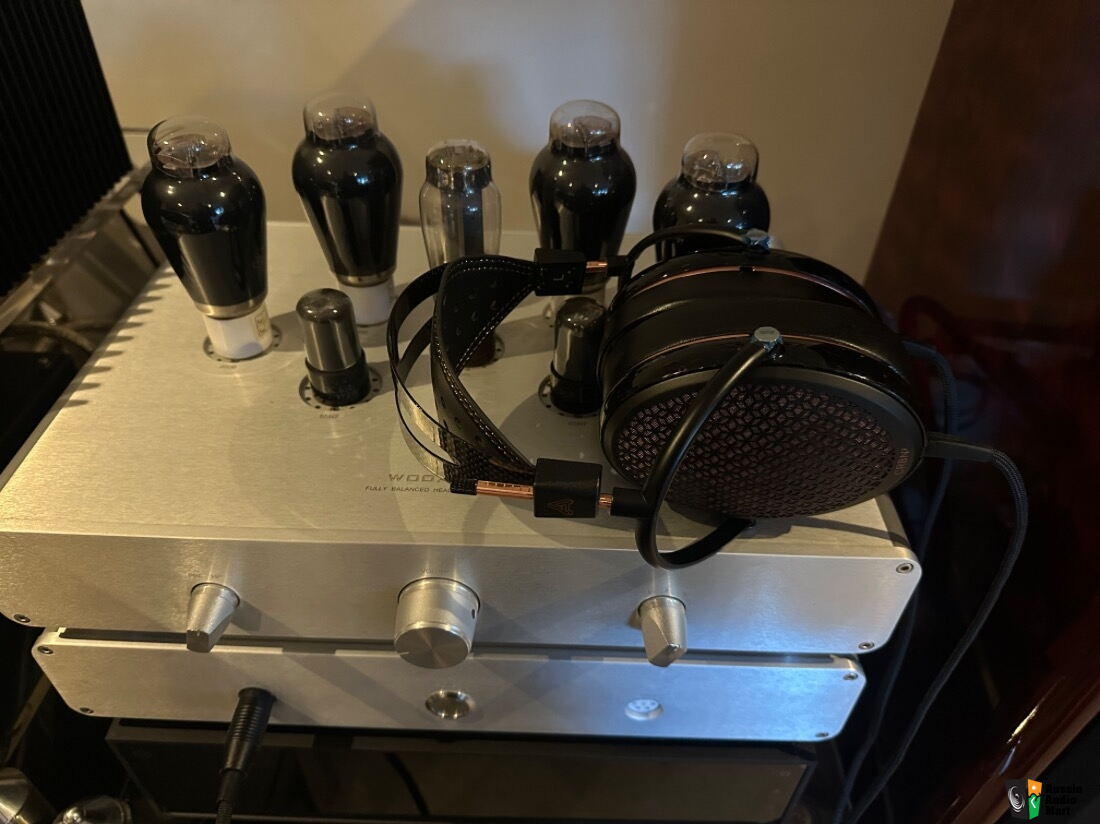 Audeze CRBN2 + Woo 3ES combo deal For Sale - Aussie Audio Mart